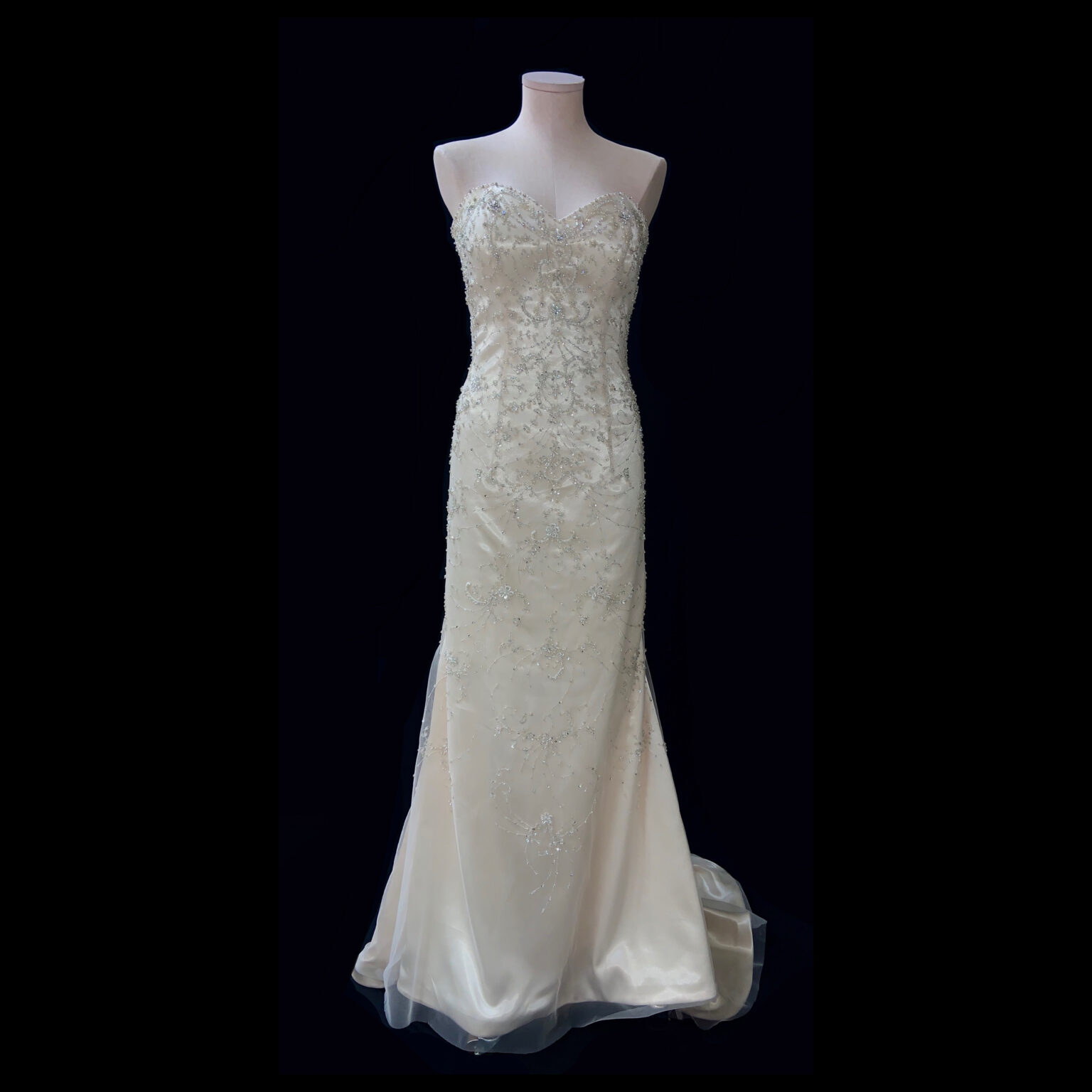 Wedding Dresses – Bellissima Bridal